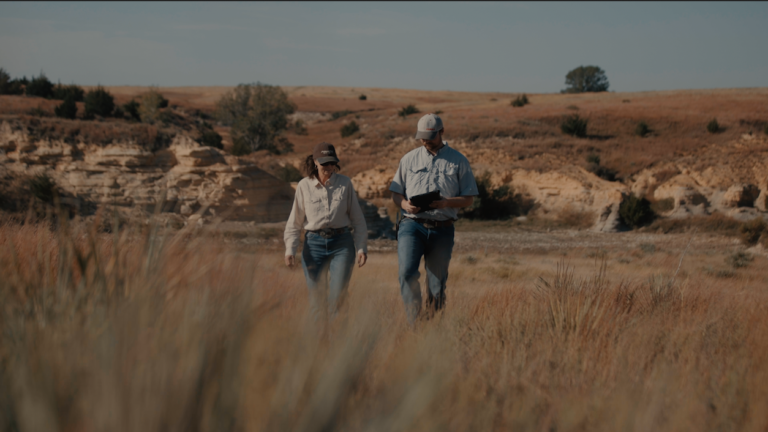 How the Platform Works - Enriched Ag